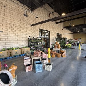 ALBERTSONS MARKET - Updated November 2025 - 27 Reviews - 4300 ...