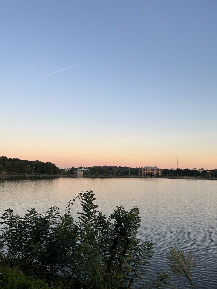 CHESTNUT HILL RESERVOIR - Updated August 2025 - 93 Photos & 77 Reviews ...