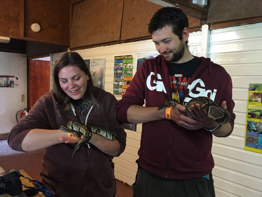 HOO FARM ANIMAL KINGDOM - Updated July 2025 - 69 Photos - Hoo Farm ...