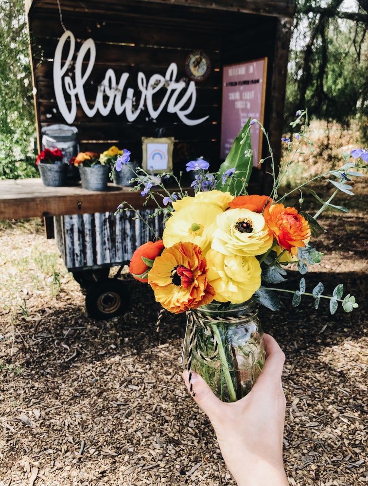 FIVE FIELDS FLOWER FARM - Updated September 2025 - 10 Photos - 2227 ...