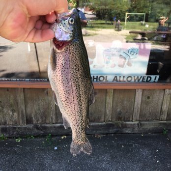 LAKE JULIAN TROUT FARM - Updated May 2026 - 13 Photos & 10 Reviews - 65 ...