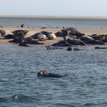 BEACHCOMBER BOAT TOURS - Updated October 2025 - 18 Photos & 23 Reviews ...