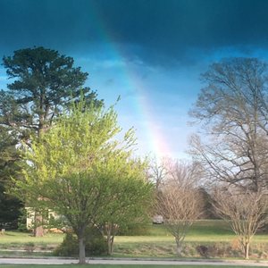 HADAD’S LAKE - 11 Photos & 26 Reviews - 7900 Osborne Turnpike, Richmond ...