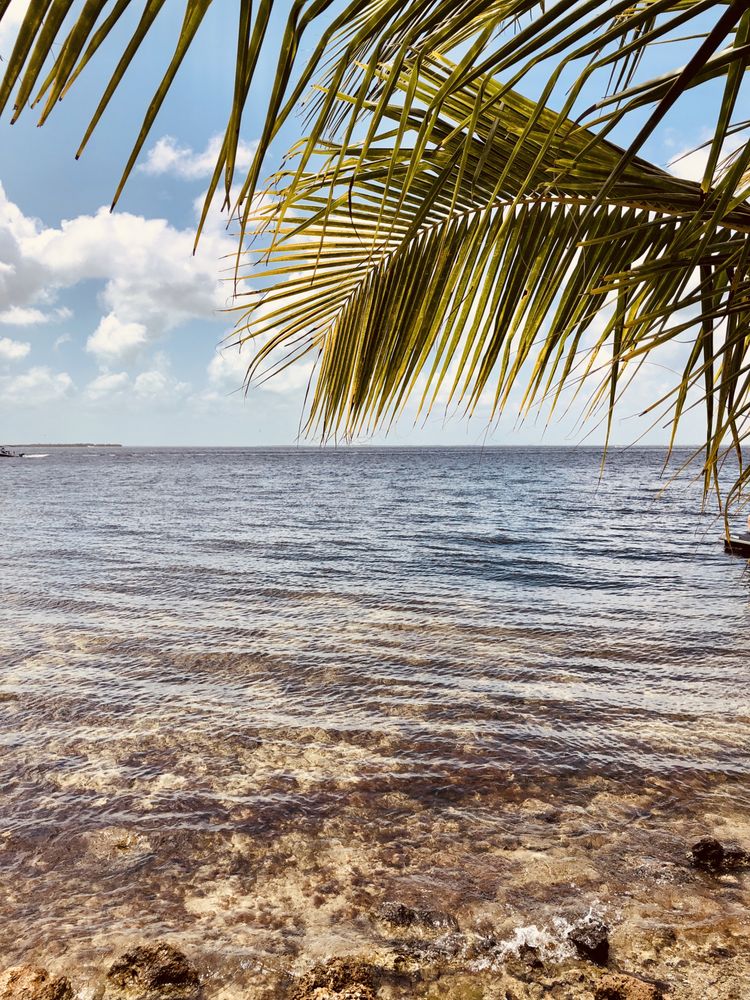 KINGS KAMP RV PARK AND MARINA - Updated July 2024 - 81 Photos & 24 ...