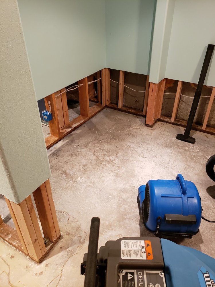 DRYING FORCE - Updated July 2025 - 21 Photos - Lynnwood, Washington ...