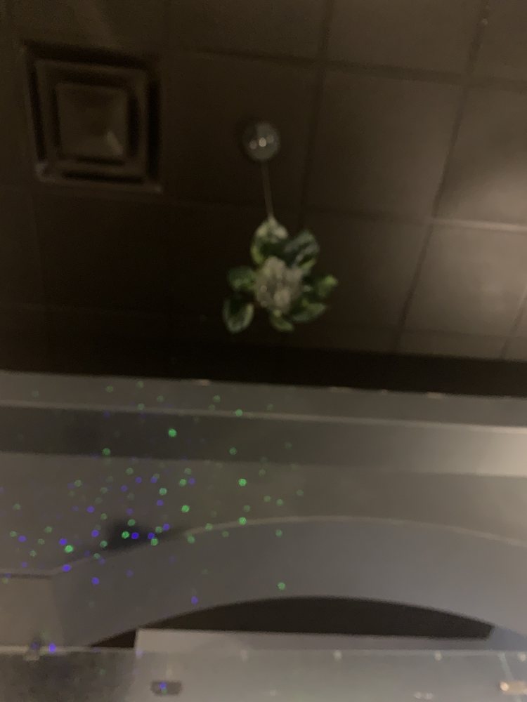 SALON INTRIGUE - Updated August 2024 - 55 Photos & 76 Reviews - 11398 ...