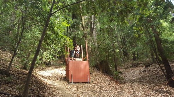 CAMP HAMMER - Updated December 2025 - 29 Photos - 21401 Big Basin Way ...