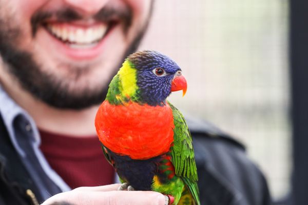 TRACY AVIARY - 482 Photos & 176 Reviews - 589 E 1300th S, Salt Lake ...