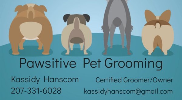 PAWSITIVE PET GROOMING - Updated July 2025 - 21 Mountain View Rd, North ...