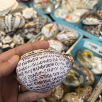 CALIFORNIA SEASHELL COMPANY - Updated November 2025 - 104 Photos & 99 ...