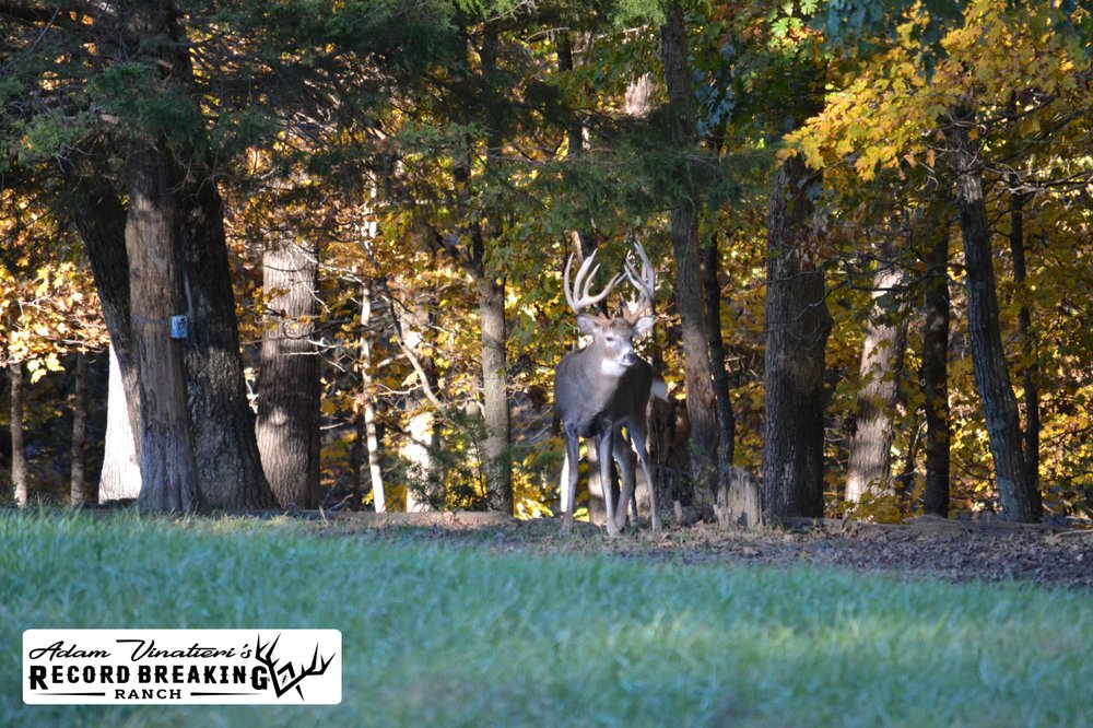 RECORD BREAKING RANCH - Updated October 2025 - 182 Photos - 7084 State ...