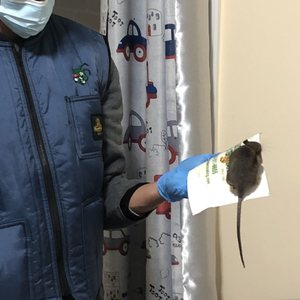 SELECT EXTERMINATING - 59 Photos & 21 Reviews - 332 Franklin Ave ...