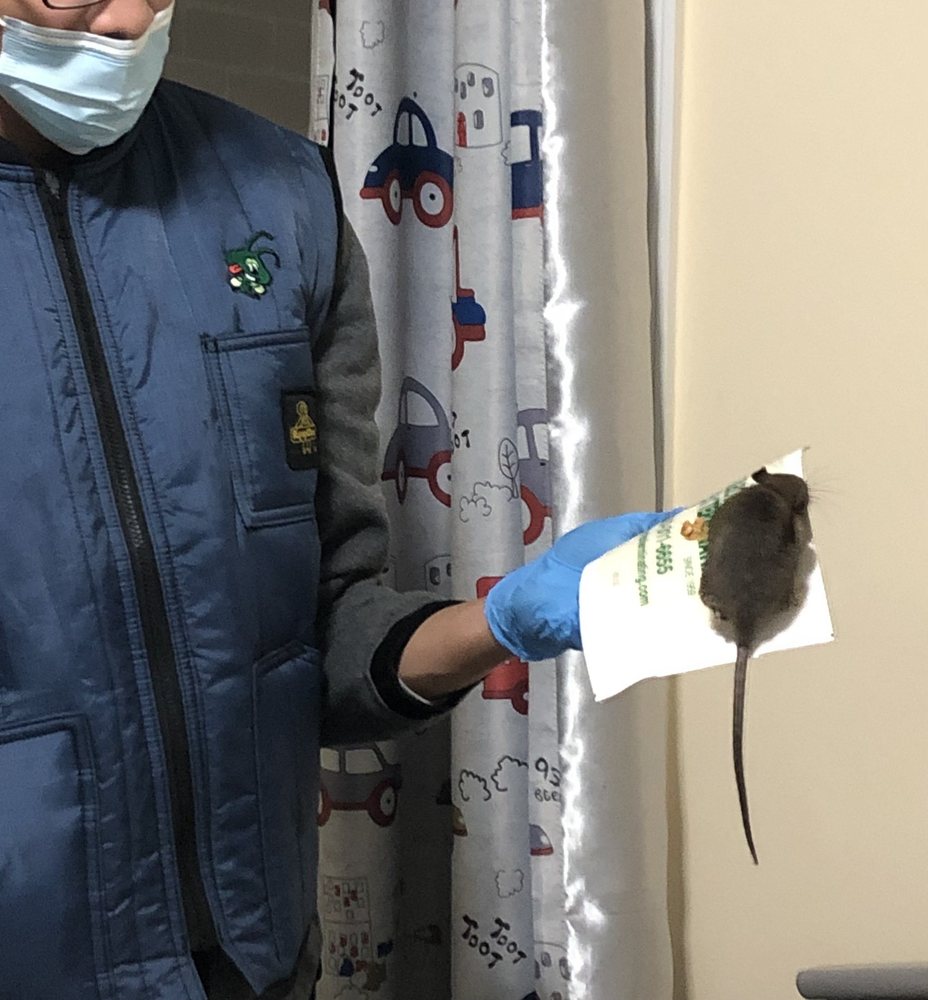 SELECT EXTERMINATING - Updated December 2025 - 59 Photos & 34 Reviews ...