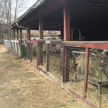 MUSCOOT FARM - Updated December 2025 - 186 Photos & 47 Reviews - 51 Rt ...