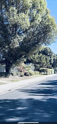 LOUIS ARMSTRONG MIDDLE SCHOOL - Updated January 2026 - 18 Photos & 47 ...