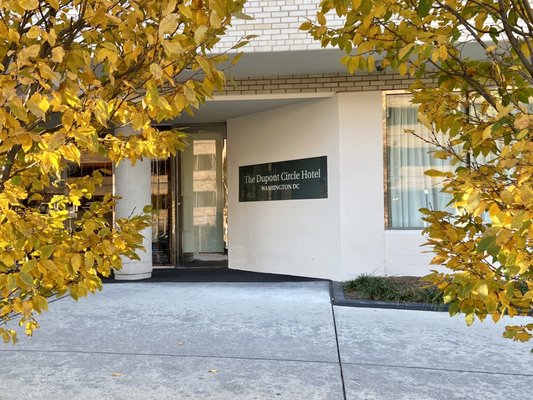 THE DUPONT CIRCLE - THE DOYLE COLLECTION - Updated December 2024 - 244 ...