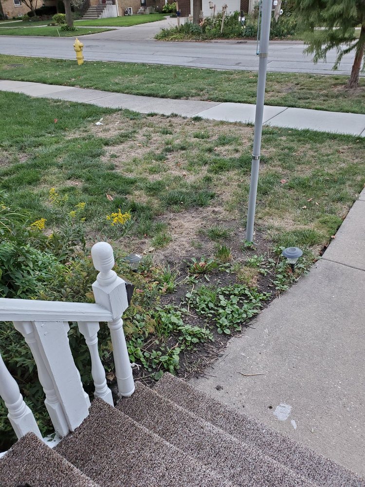 TRUGREEN CHEMLAWN - Updated July 2025 - 13 Reviews - 966 Seton Ct ...