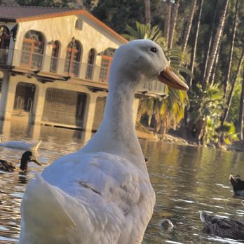 FAIRMOUNT PARK - Updated June 2024 - 540 Photos & 135 Reviews - 2241 ...