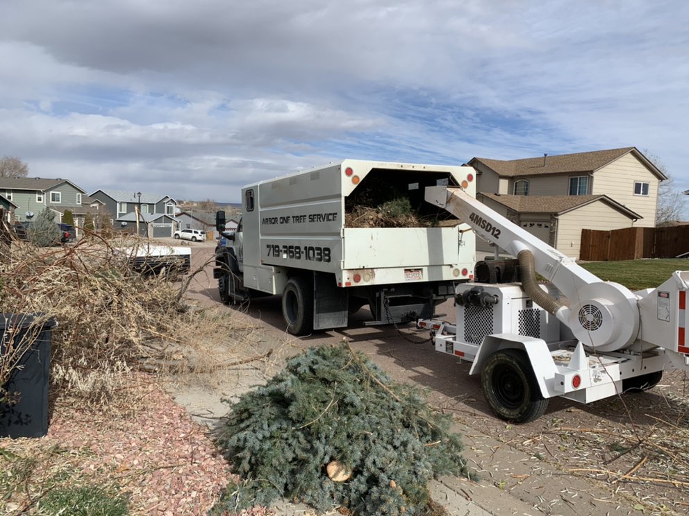 ARBOR ONE TREE SERVICE Fountain, CO - Updated November 2024 - 10 Photos ...