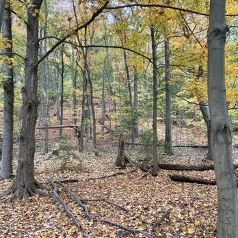 COLD SPRING HARBOR STATE PARK - Updated January 2026 - 263 Photos & 68 ...