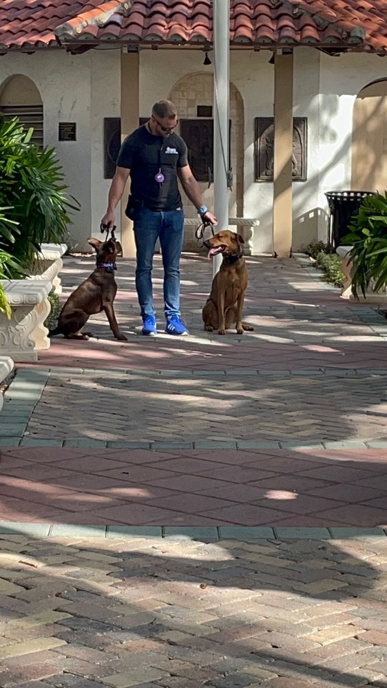 K9 GUNNER TACTICAL - Updated June 2025 - 28 Photos - 201 Lows Hollow Rd ...