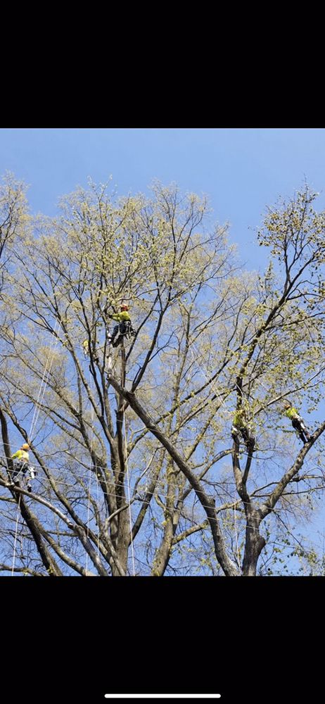 STRATTON LANDSCAPING - Updated January 2026 - 27 Photos & 18 Reviews ...