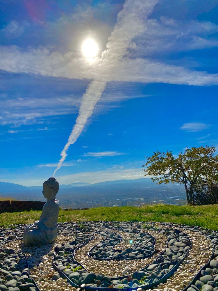 VIBESCAPES - Updated April 2024 - Request a Quote - 19 Photos - Phoenix ...