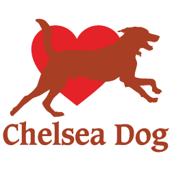 CHELSEA DOG WALKING & TRAINING - 101 W 23rd St, Manhattan, New York ...