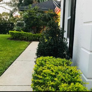 ORLANDO IRRIGATION REPAIR INC - Updated June 2024 - 618 E S St, Orlando ...