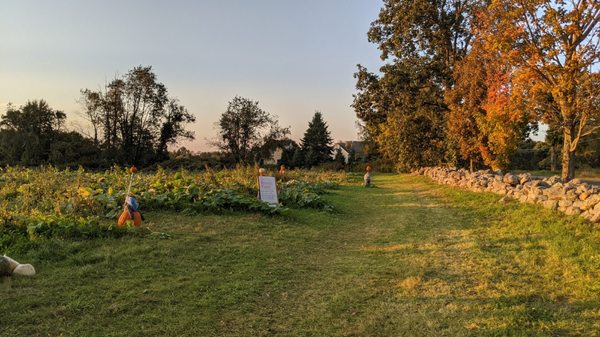 DEEPLY ROOTED FARMS - Updated September 2025 - Route 72, Harwinton ...