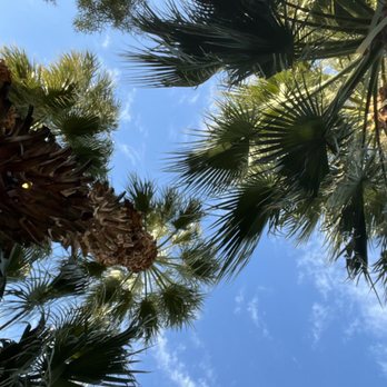 TWO BUNCH PALMS - Updated August 2024 - 767 Photos & 614 Reviews ...