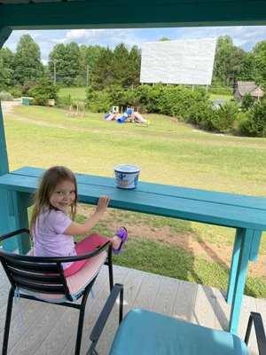 TIGER DRIVE IN THEATRE - Updated August 2025 - 19 Photos & 17 Reviews ...