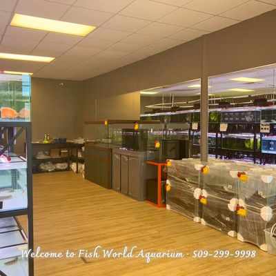 FISH WORLD AQUARIUM - Updated August 2024 - Request Information - 17 ...