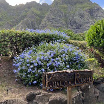 KUALOA RANCH - 11213 Photos & 4966 Reviews - 49-560 Kamehameha Hwy ...