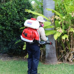 THE BEST 10 Pest Control in Miami, FL - Last Updated November 2020 - Yelp