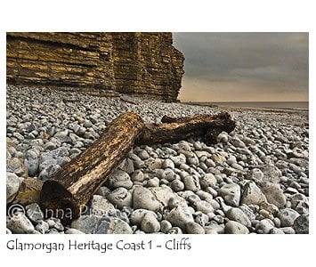 ANNA PROCTOR EXHIBITION - St Donats Arts Centre, Llantwit Major, Vale ...