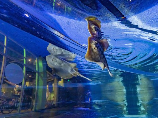 DISCOVERY CUBE ORANGE COUNTY - Children's Museum in Santa Ana ...