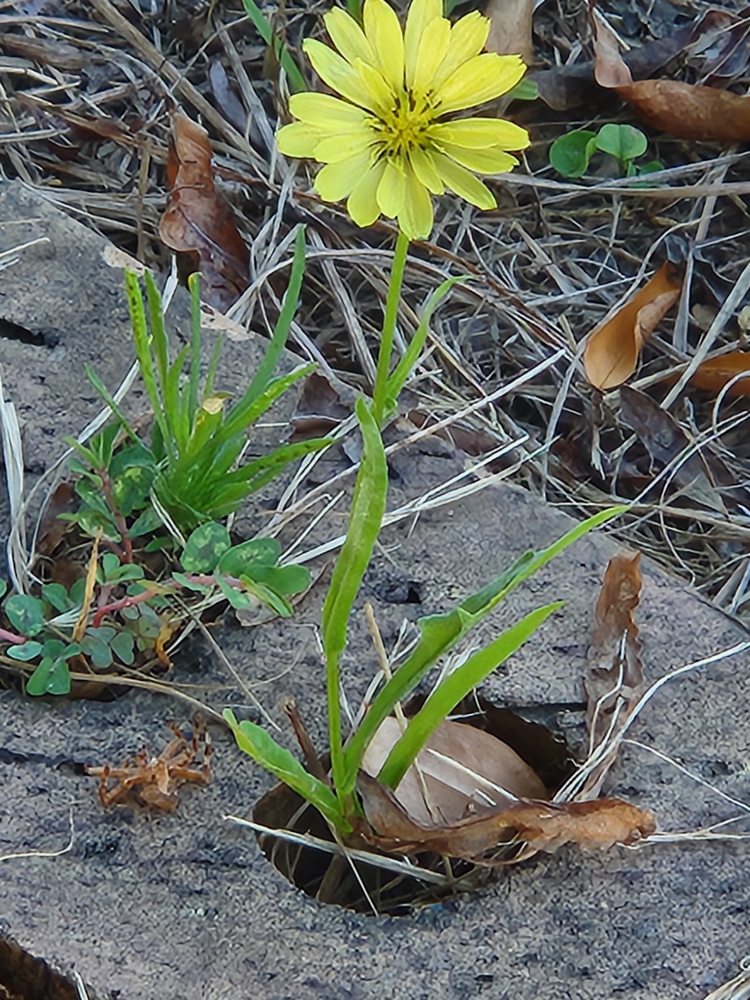 HOPE SPRINGS RV CAMPGROUND - Updated October 2025 - 24 Photos - 233 Fm ...
