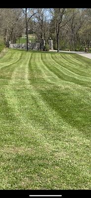 TRU CUT LAWN & LANDSCAPING - Updated January 2026 - 31 Photos ...