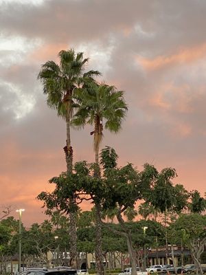 WAIKELE PREMIUM OUTLETS - 556 Photos & 379 Reviews - 94-790 Lumiaina St ...