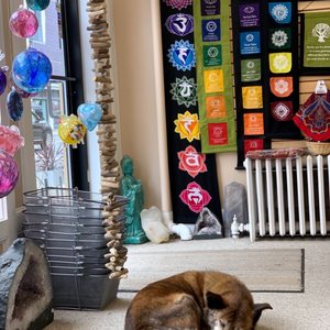 TREASURE CHEST II - 5 Sanger Ave, Waterville, Maine - Adult - Phone ...