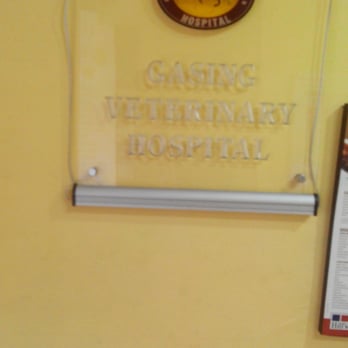 GASING VETERINARY HOSPITAL - Updated May 2026 - 53 & 55, Jalan 5/58 ...