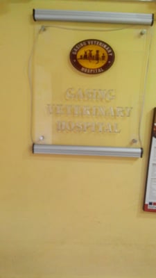 GASING VETERINARY HOSPITAL - Updated May 2026 - 53 & 55, Jalan 5/58 ...