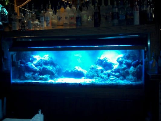 SALTY TOAD - Updated October 2025 - 34 Reviews - 921 Friedman Dr ...