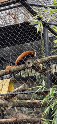 BRANDYWINE ZOO - Updated May 2025 - 153 Photos & 67 Reviews - 1001 N ...