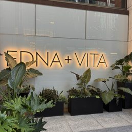 EDNA + VITA - Updated October 2025 - 74 Photos & 33 Reviews - 77 Adelaide Street W, Toronto ...