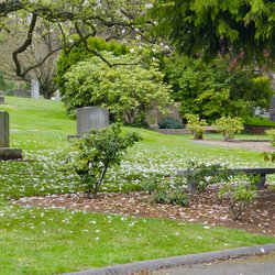 EVERGREEN WASHELLI FUNERAL HOME - 45 Photos & 51 Reviews - Funeral ...