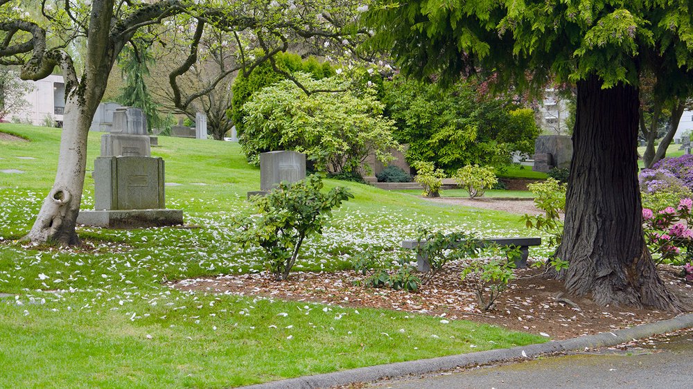 EVERGREEN WASHELLI FUNERAL HOME - 45 Photos & 54 Reviews - 11111 Aurora ...