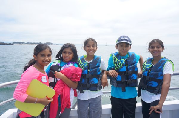 SHARK CAMP - Updated December 2025 - 16 Photos - Santa Cruz, California ...