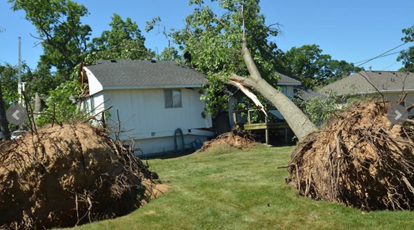 KACHUR TREE SERVICE - Updated December 2025 - 45 Photos - 316 Fulkerson ...